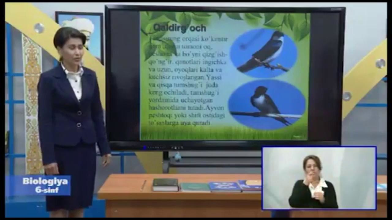 7 sinf. Qushlarning xilma-xilligi. Voha va cho`l qushlari - Mover.uz