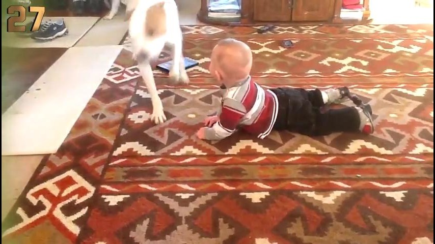 Funny Kid Nominees: FailArmy Hall Of Fame (May 2017) FailArmy - Mover.uz