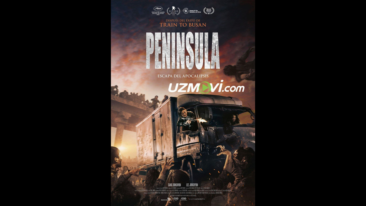 Pusanga ketayotgan poyezd 2 - Mover.uz