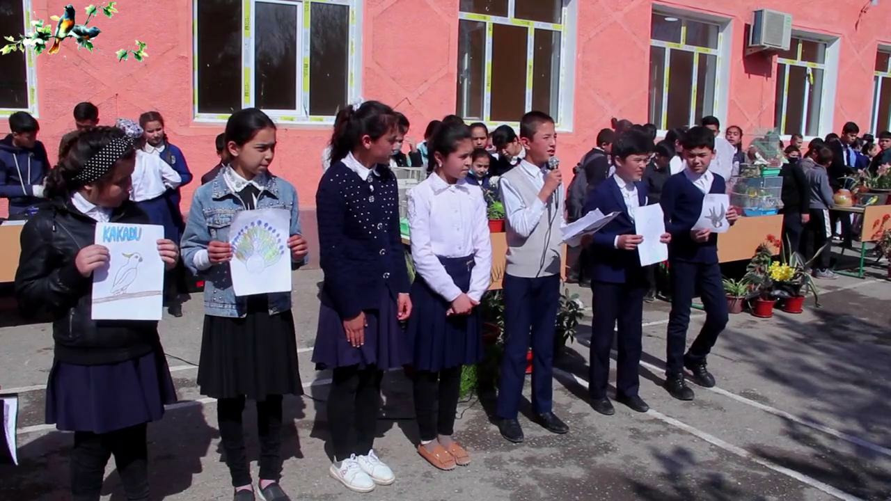 Gullar va qushlar bayrami - Mover.uz