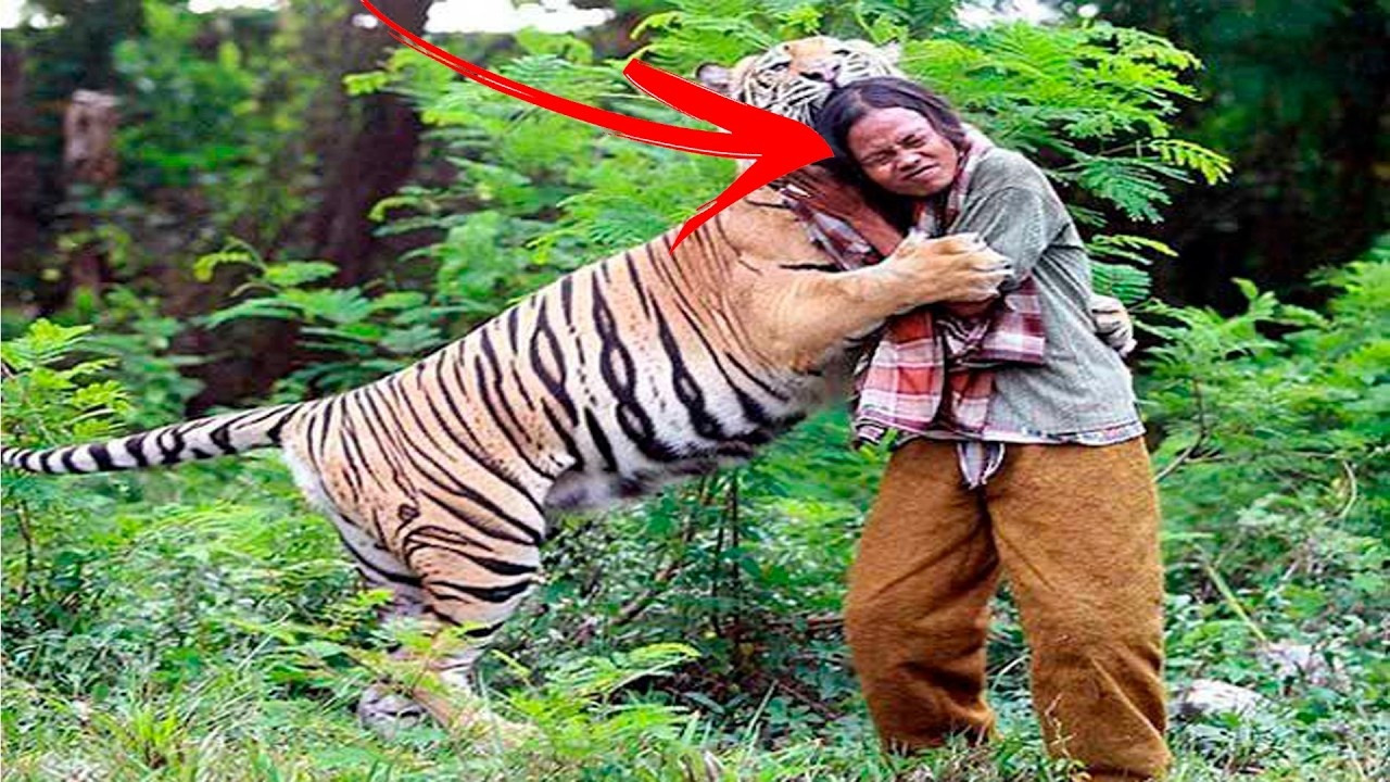 Damn Nature You Scary | Rare & Scary Animal Encounters #15 - Mover.uz