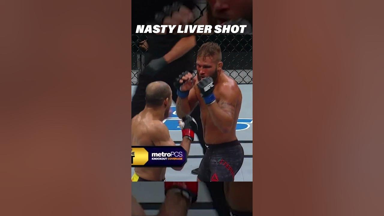 THIS Liver Shot Knockout Looked PAINFUL - Mover.uz