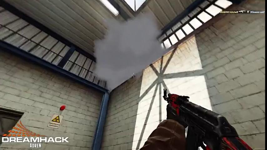 CS:GO – Astana Dragons at DreamHack Winter 2013 (Highlights) - Mover.uz