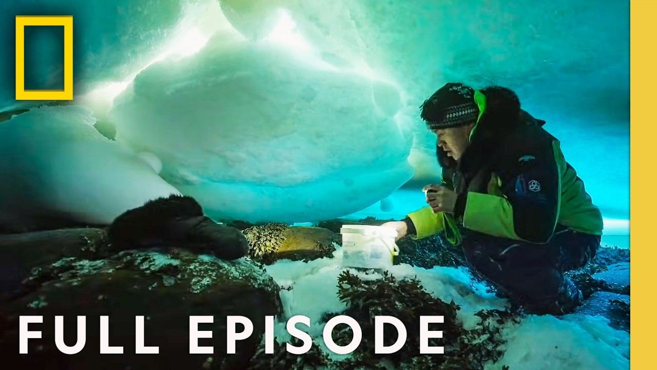 How did a Cosmic Storm Make Planet Earth? (Full Episode) | One Strange ...
