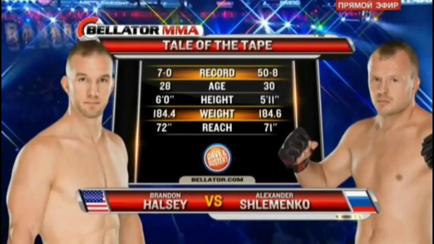 Alexander Shlemenko vs Brandon Halsey – Bellator 126 – Title Fight ...