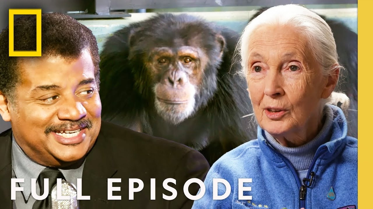 Jane Goodall: Discussing Chimpanzee Behavior (Full Episode) | Startalk ...